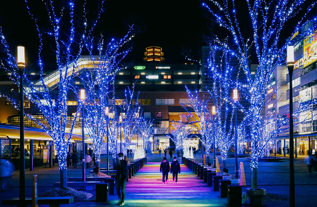 バスや電車で大分市をぐるり。アート＆動物に触れる旅 | Page 2 | edit Oita エディット大分