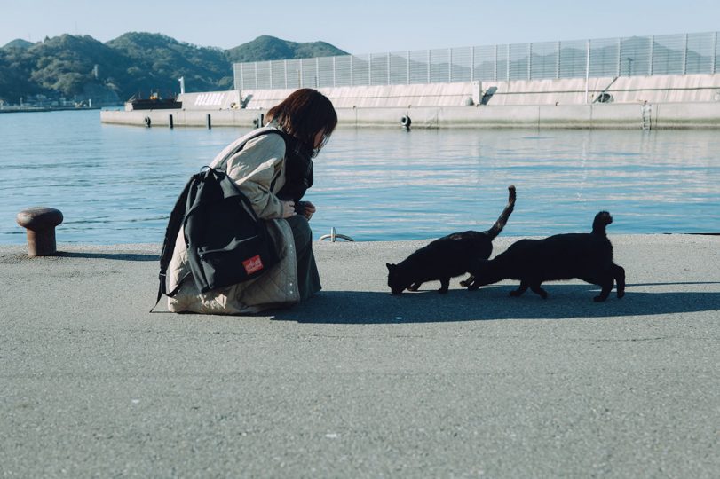 観光スポット、私ならこう撮る！ 押さえておきたい大分の名所BEST3【#マイエディット大分】 | edit Oita エディット大分